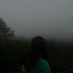 Bee Swarm Simulator Kron Hub Roblox Scripts ScriptBlox