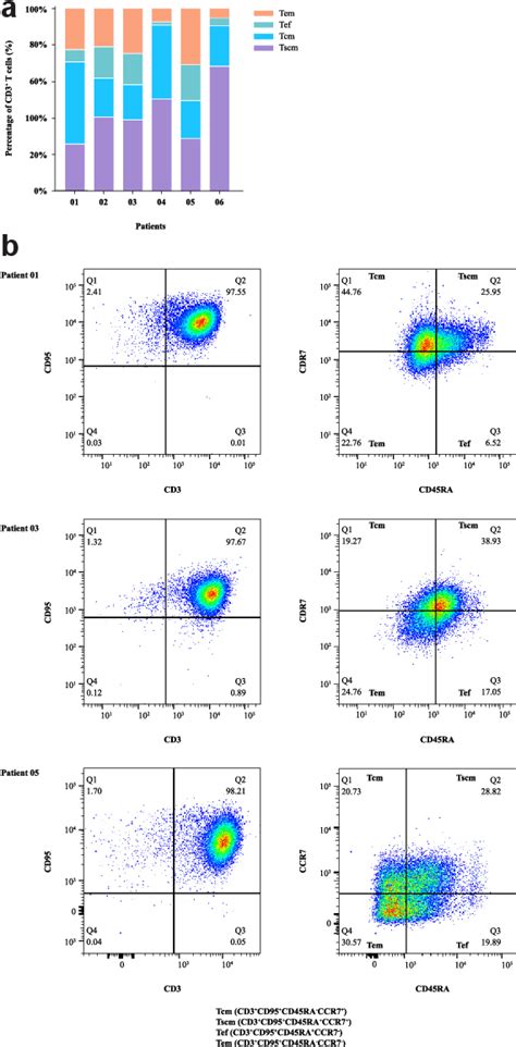 Figure 2 From Runx 3 Expressing Car T Cells Targeting Glypican 3 In