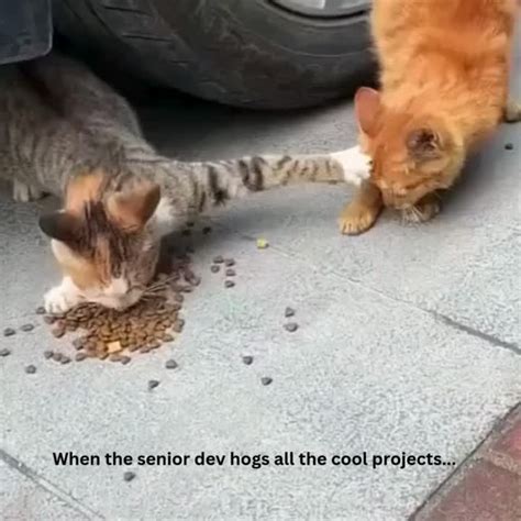 Video Kitrum On Linkedin Softwaredevelopment Devlife Codingmemes