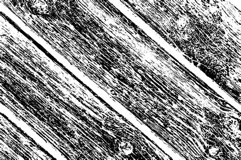 Grunge Stripes And Lines Vector Texture Background Abstract Overlay Dirty And Damaged Backdrop