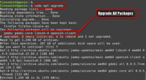How To Update Packages On Linux Mint Linux Genie