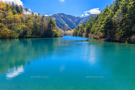 秋の志賀高原大沼池 02335007855 の写真素材イラスト素材アマナイメージズ
