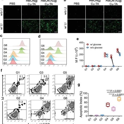 Ae The Detection Of Intracellular ROS Generation After Treatment Download Scientific Diagram