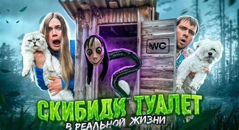 Скибиди Туалет В Реальной Жизни Вызвали Камерамена Страшная НОЧЬ В Палатке С Котами И