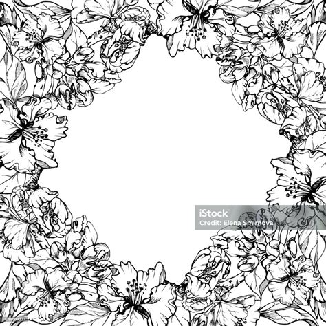 손으로 그린 잉크 사과 꽃 가지와 나뭇잎 흑백 벡터 상세한 윤곽선 꽃 원형 원형 화환 흰색 배경에 격리 벽 예술 결혼식 인쇄 직물 표지 카드 디자인 사과에 대한 스톡 벡터