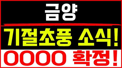 금양 주가전망 기절초풍 소식 Oooo 확정 금양 금양주가 금양주가전망 금양목표가 금양주식 리튬 에코프로 에코프로비엠 에코프로머티 Youtube