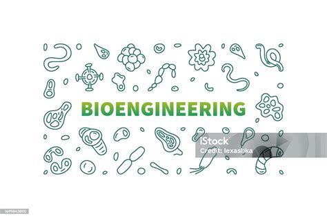 Bioengineering Vector Science Concept Horizontal Line Banner Bio