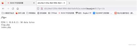 Ctf学习第二十一站——buuctf的pingpingping与execbuuctf的pingpingpung Csdn博客