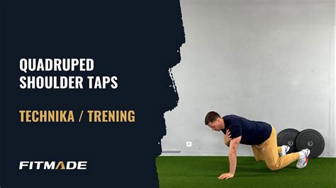 Quadruped Shoulder Taps Ćwiczenie Prawidłowa Technika Fitmade Youtube