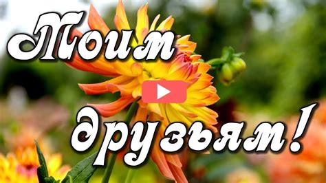 С Добрым утром Пусть каждый день приносит только радость Youtube