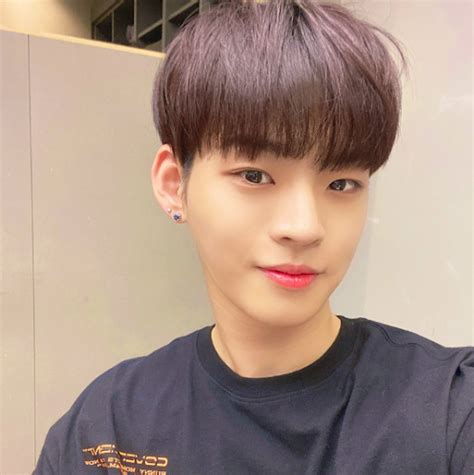 효진이가 여우상인가 인스티즈 Instiz 연예 카테고리