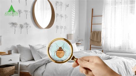 Early Pest Detection Why January Is The Best Time To Start