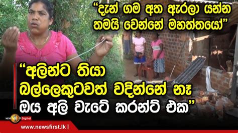 අලින්ට තියා බල්ලෙකුටවත් වදින්නේ නෑ ඔය අලි වැටේ කරන්ට් එක Youtube