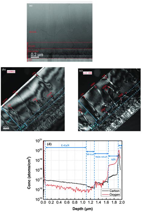 Stem Cross Sectional Images Under Bright Field Conditions A Download Scientific Diagram