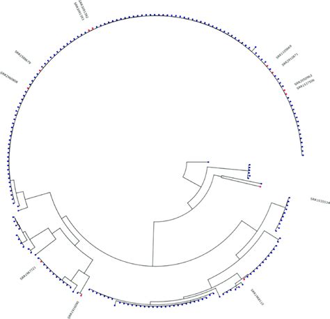 Core Genome Snp Tree Produced By Parsnp Alignment Of De Novo Assemblies Download Scientific