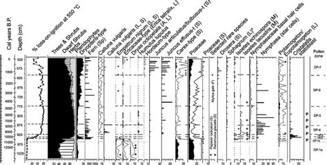 A Selected Pollen Influx Values Grains Cm 2 Y −1 And Macrofossil