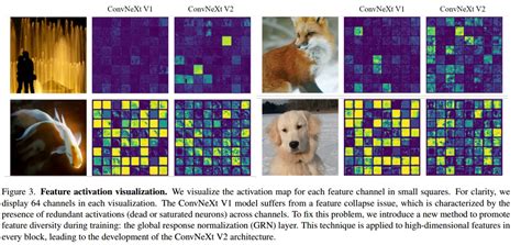 Convnext V2：与屏蔽自动编码器共同设计和缩放convnets，论文代码实战 阿里云开发者社区