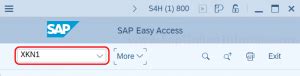 How To Create Number Ranges For Vendor Accounts In SAP Hana