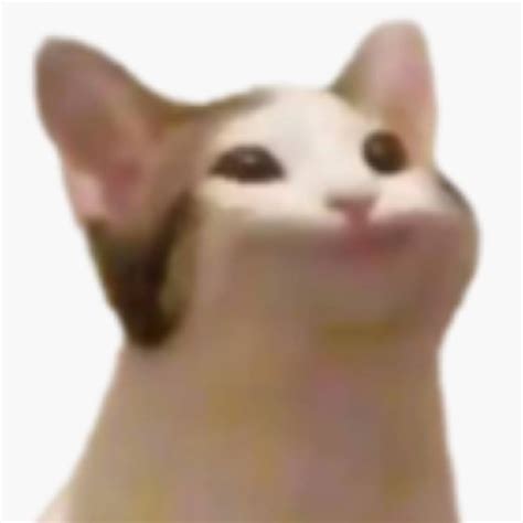 Ic