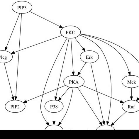 Mapk Pathway From Literature 4 Download Scientific Diagram