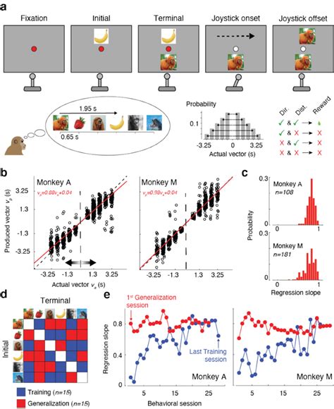 Behavioral Task Performance And Generalization A Mental Navigation Download Scientific