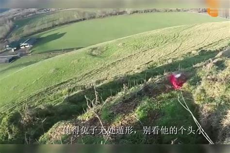 国外兔子泛滥成灾，农场主把貂放进兔子洞，兔子瞬间炸窝了！兔子农场主瞬间
