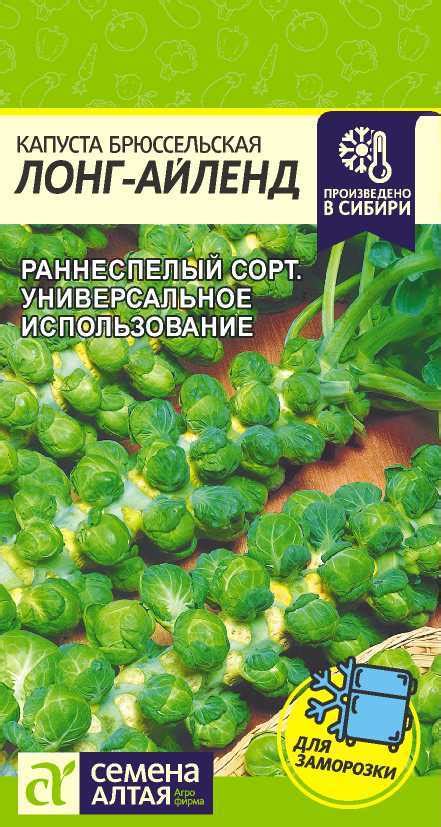 Капуста