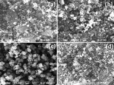 SEM Image Of A TiO2 B Mg TiO2 C S TiO2 And D Mg S TiO2 Download Scientific Diagram