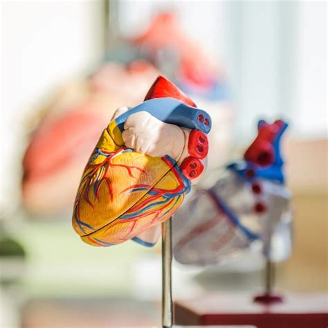 잘못된 생활습관의 결과 심혈관계질환의 모든 것