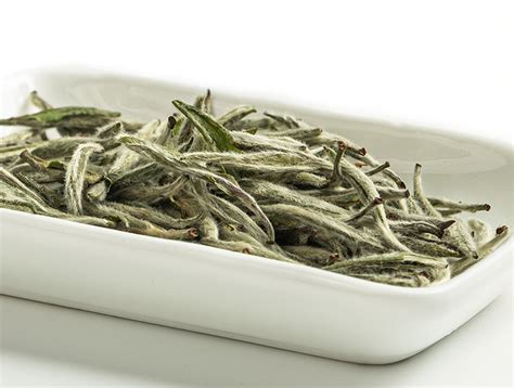 2025年好喝的白茶推荐：品品香绿雪芽馥益堂六妙哪个牌子好？福建白茶品牌推荐 知乎