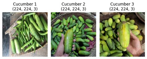 Convolutional Neural Network Untuk Klasifikasi Gambar Dengan Tensorflow Sainsdata Id