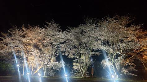 お食事処きまぐれ 三重県津市美杉町八知