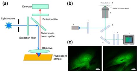 A Review Of Optical Imaging Technologies For Microfluidics