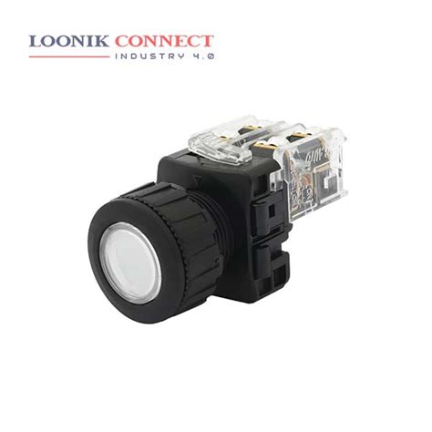 Push Button Switch Loonik Connect
