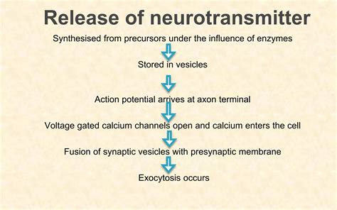 Monoamine Neurotransmitters 2 Pptx