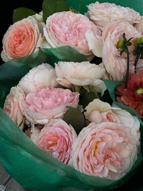 Безкоштовне стокове фото білий фон ботанічний букет букет троянд весілля вітальна листівка