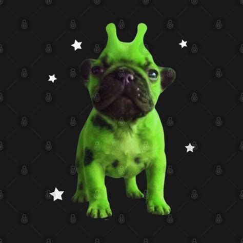 Alien Pibble Weird Dog Meme Alien Pibble Weird Dog Meme T Shirt