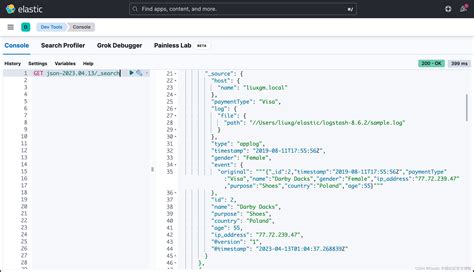 Elasticsearch：保留字段名称