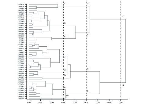 Dendrogram Of 50 Maize Hybrids Based On 12 Phenotypic Traits Model