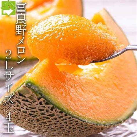 メロン 北海道 富良野産 富良野メロン 赤肉 秀品 2lサイズ 4玉 送料無料 お中元対応 スイートベジタブルファクトリー 通販