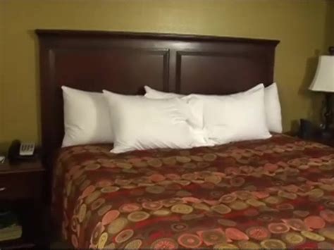 Scene 1 From Muscle Maid Sensual Services Streaming At Iafd Premium