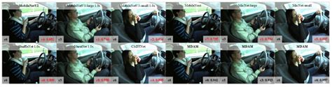 Driver Distraction Detection Based On Lightweight Networks And Tiny Object Detection