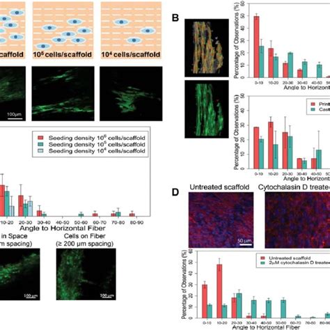 Cell Alignment Quantification And The Impact Of Different Factors On Download Scientific