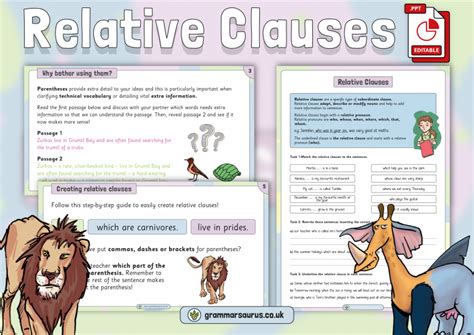 Year SPaG Relative Clauses Resource Pack Grammarsaurus