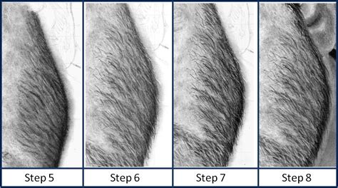 Draw A Long With Me Part 5 Beards By Paul Shanghai On Deviantart