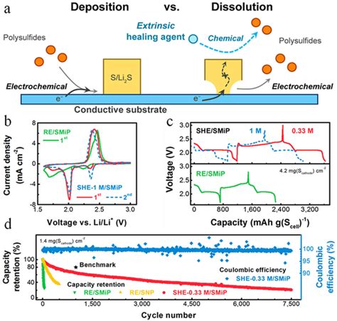 A Schematic Of Depositiondissolution Of Micrometer‐sized Sulfurli2s