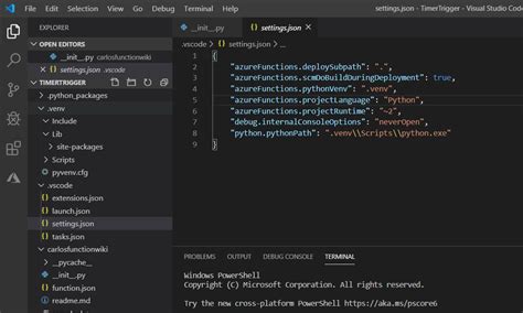 azure function in python with timer trigger and runonstartup fails locally with error did not