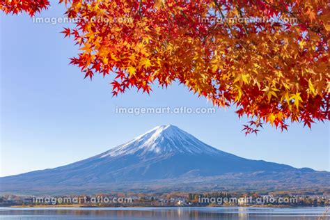 日本の秋風景河口湖の紅葉と富士山の写真素材 171369961 イメージマート