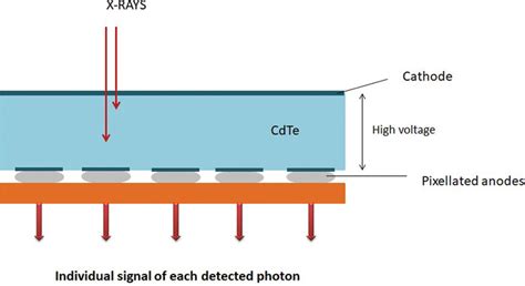Direct Conversion Photon Counting Detector Cdte Cadmium Telluride Download Scientific Diagram