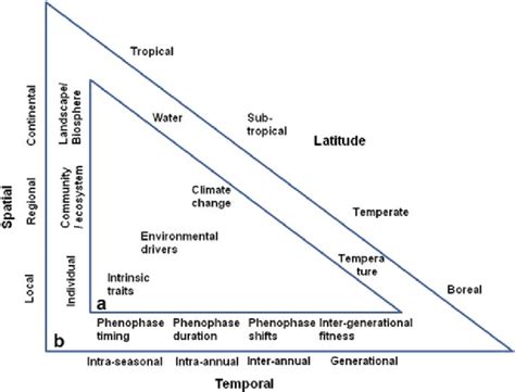 1 Factors Controlling Plant Phenology Framework Of Phenology Climate
